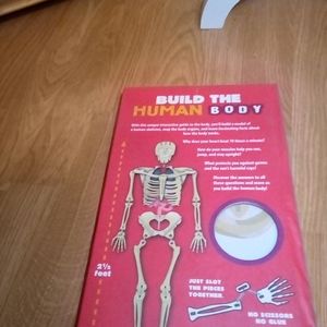no brand | Toys | Build The Human Body Over 2 Foot Long Skeleton | Poshmark